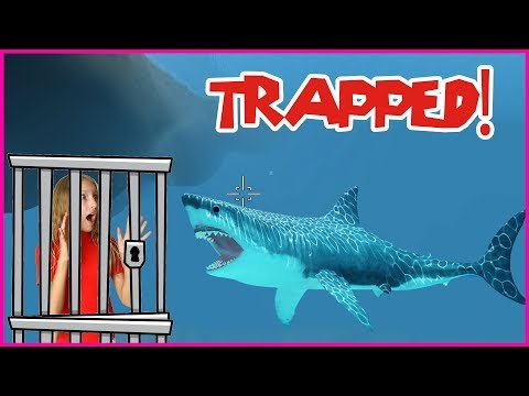Trapped in a SHARK CAGE!
