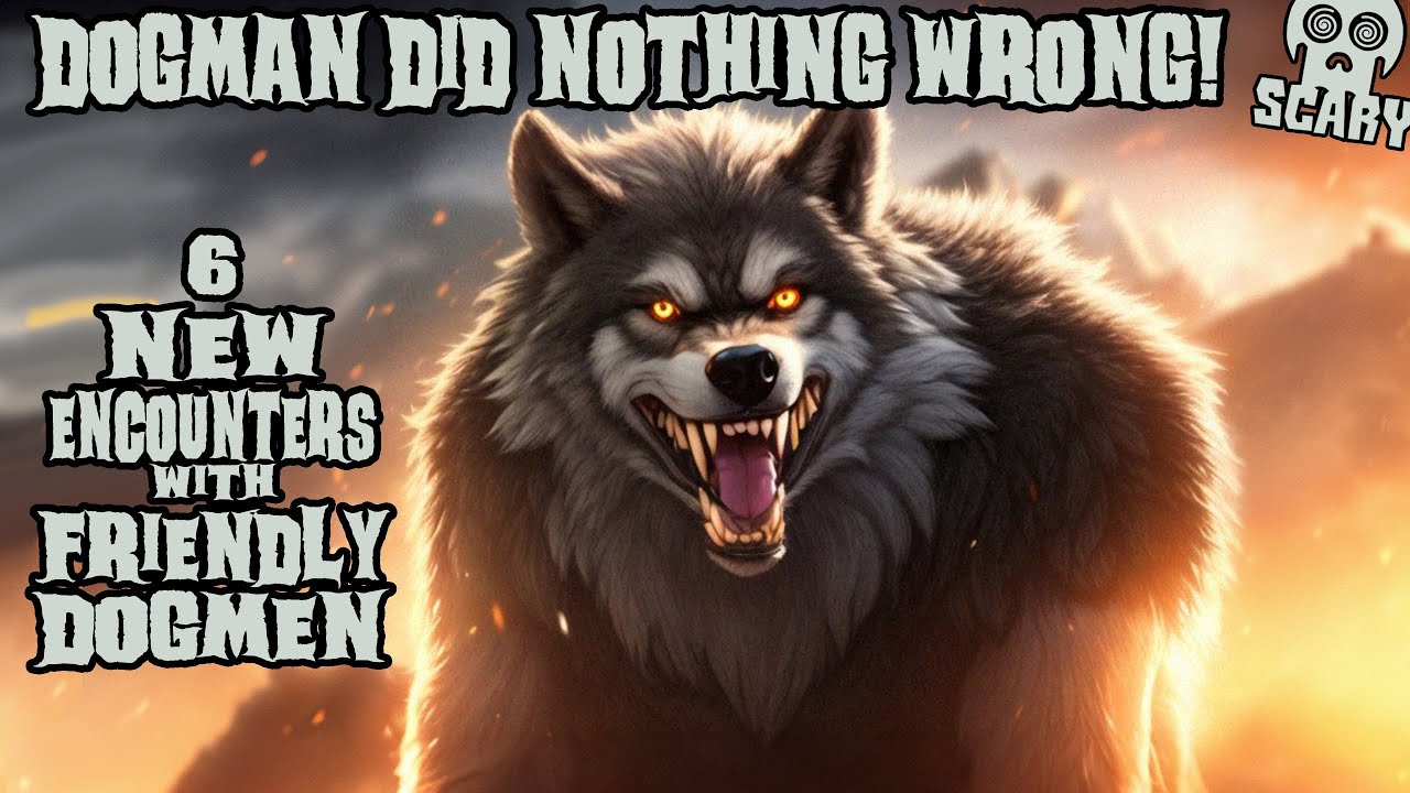 6 Spooky TRUE "Friendly Dogman" Stories Read Aloud in the Rain! All-New ...