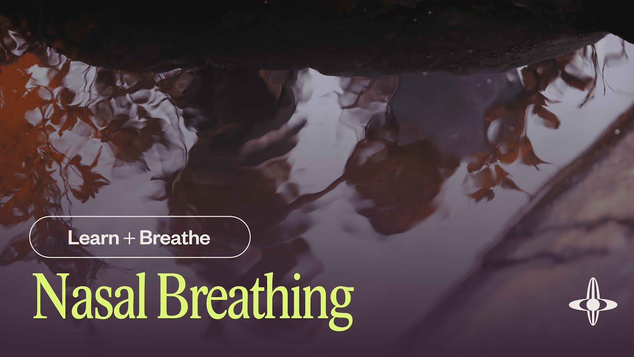 Nasal Breathing | Guided Breathwork (14 minutes) - YouTube