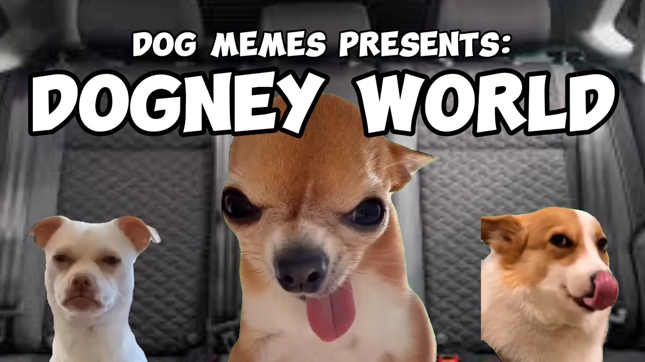 DOG MEMES: TO DOGNEY WORLD PT.1 - YouTube