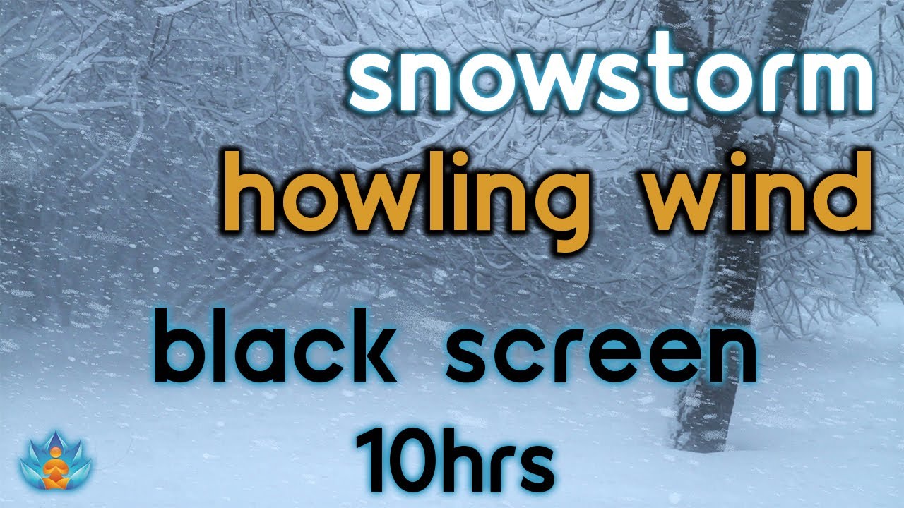 [Black Screen] Blizzard Snow Storm: Howling Wind and Snow Sounds for ...