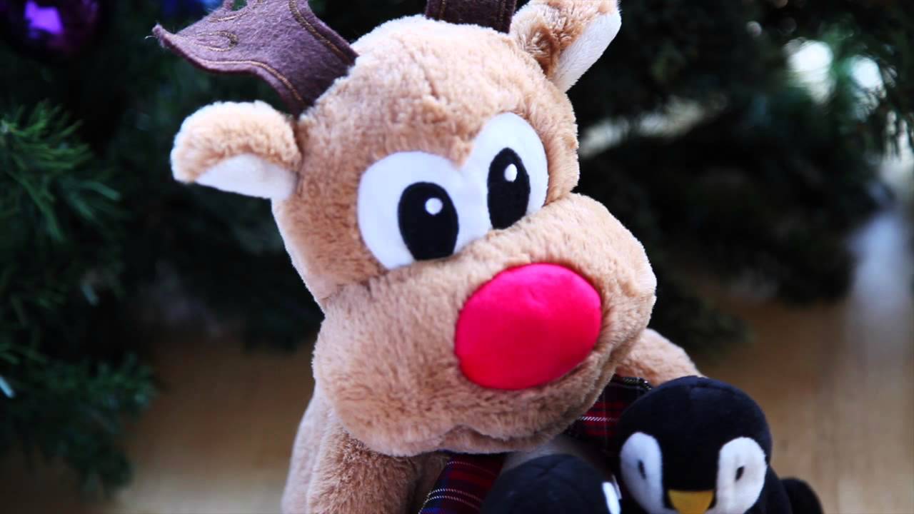 Meet Rodney, the Singing and Dancing Reindeer - YouTube