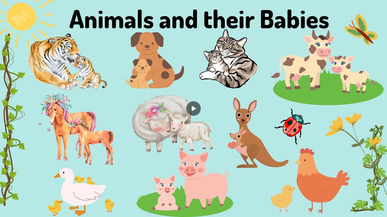 Animals and Their Babies / Animals & their Young one's Name, with sound ...