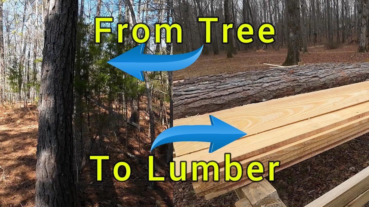 Turning A Tree Into Usable Lumber #woodlandmills #sawmill #satisfying # ...