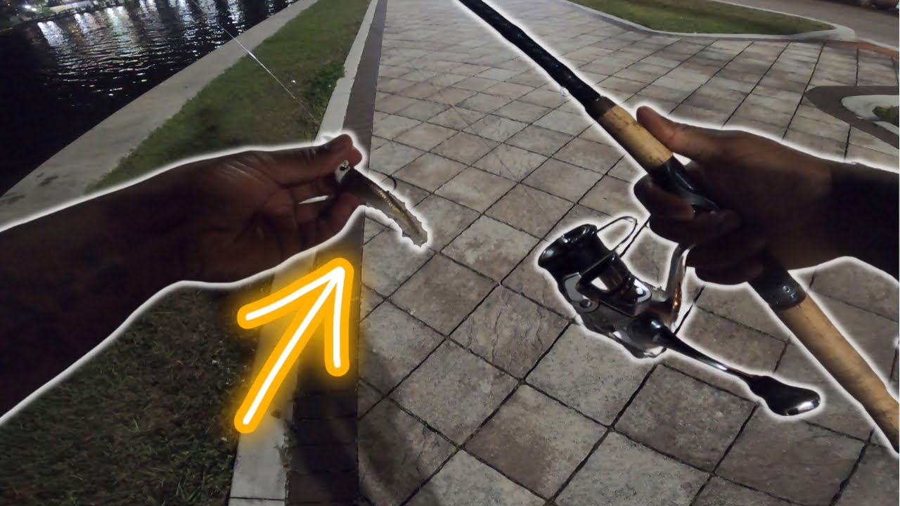 NLBN 3 inch VS 38 inch SNOOK! - YouTube