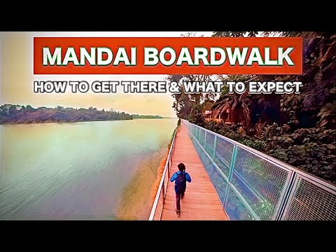 Mandai Boardwalk Guide: How to Get There and What to Expect on Your ...