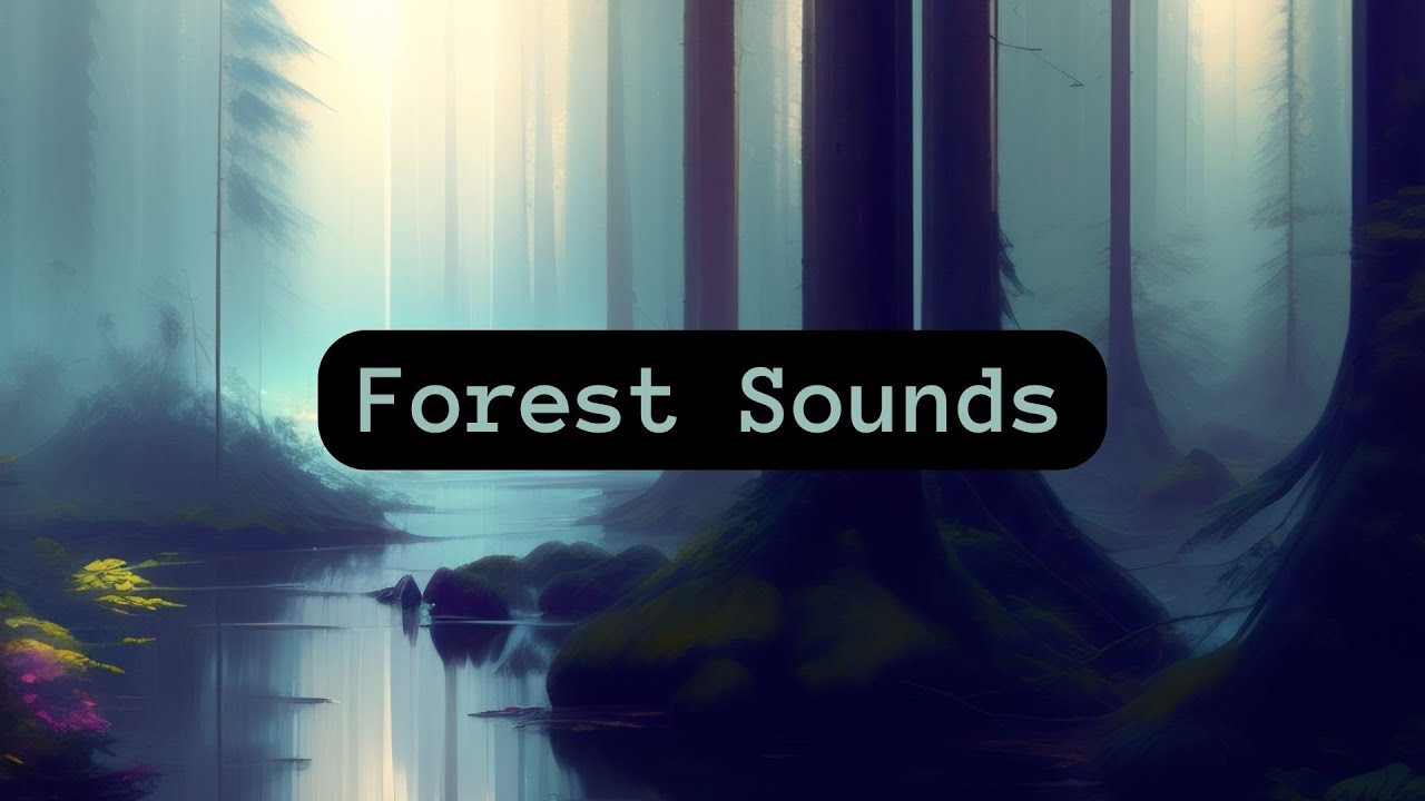 Magical FOREST Sounds | Nature's Oasis | Relaxation, Meditation, Sleep ...