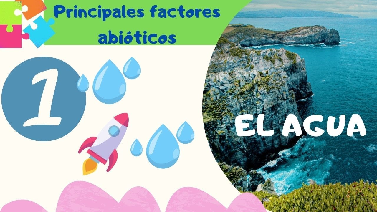 Principal factor abiótico/ El agua💧 - YouTube