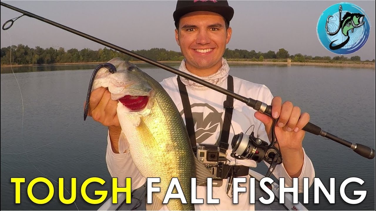 How To Make Inactive Fall Bass Bite! | Fall Fishing Tips - YouTube