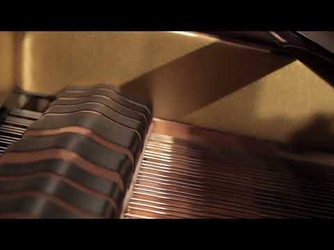 Piano Inside Close Free Stock Video Footage Download Clips Random Objects