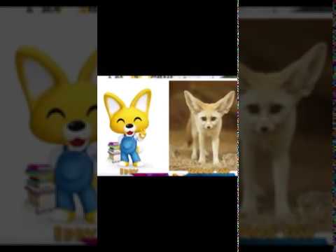 Pororo Cartoon Character In Real Life - YouTube