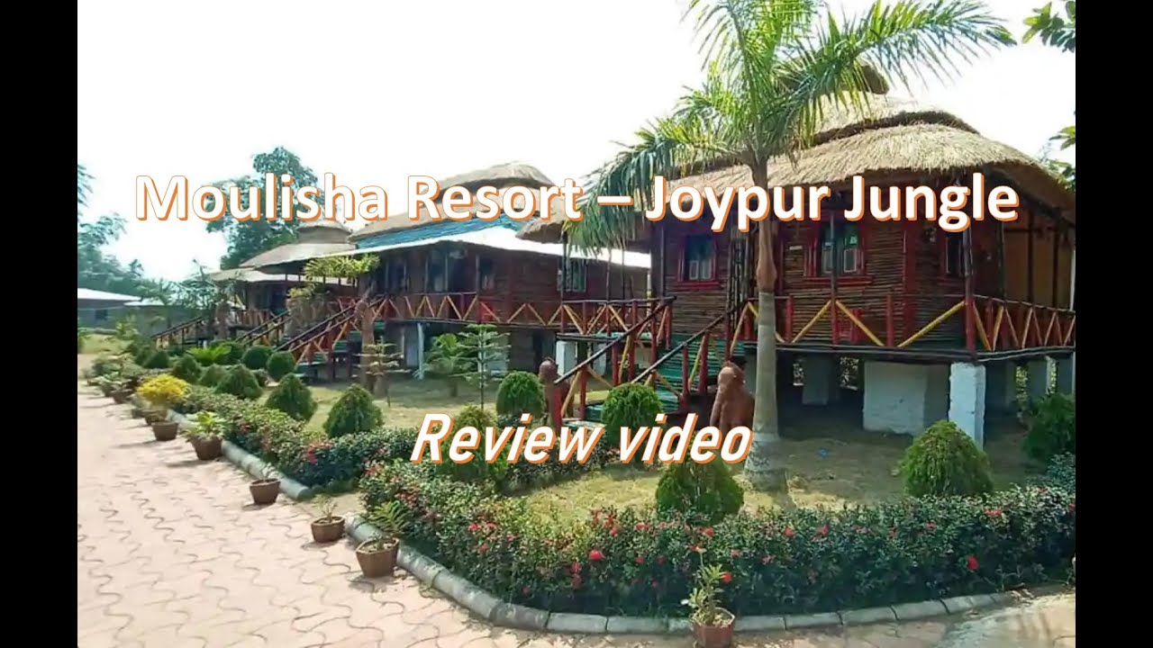 Moulisha Resort (Joypur Jungle) - Review Video - YouTube