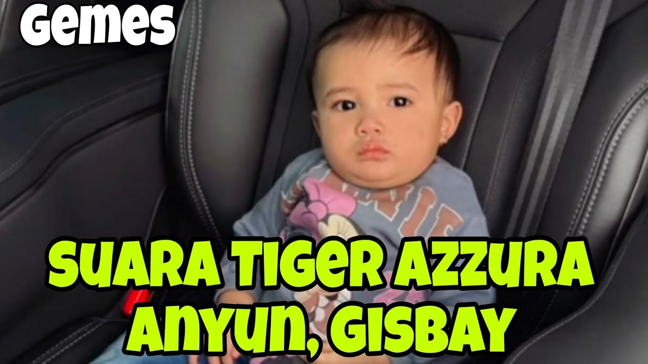 Suara Tiger Azzura !! Azzura makin cerdas !! - YouTube