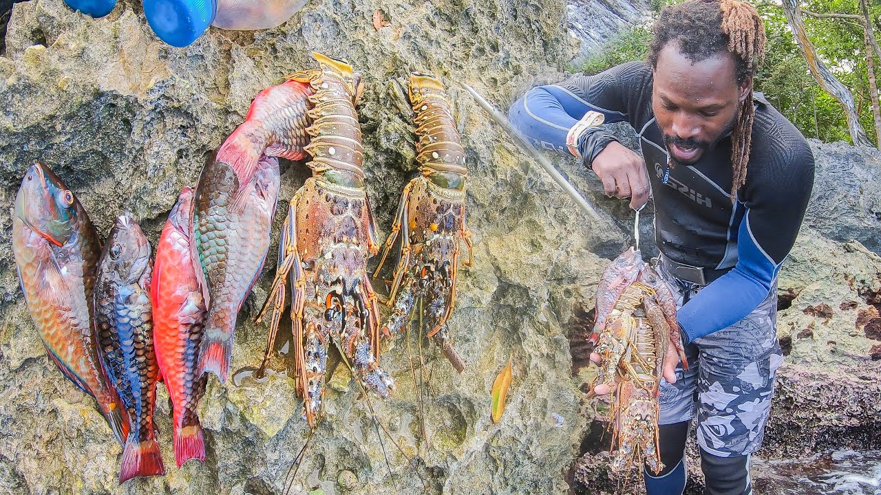 Spiny Lobster For Dinner Catch On Spearfishing Dive Catch N Cook - YouTube