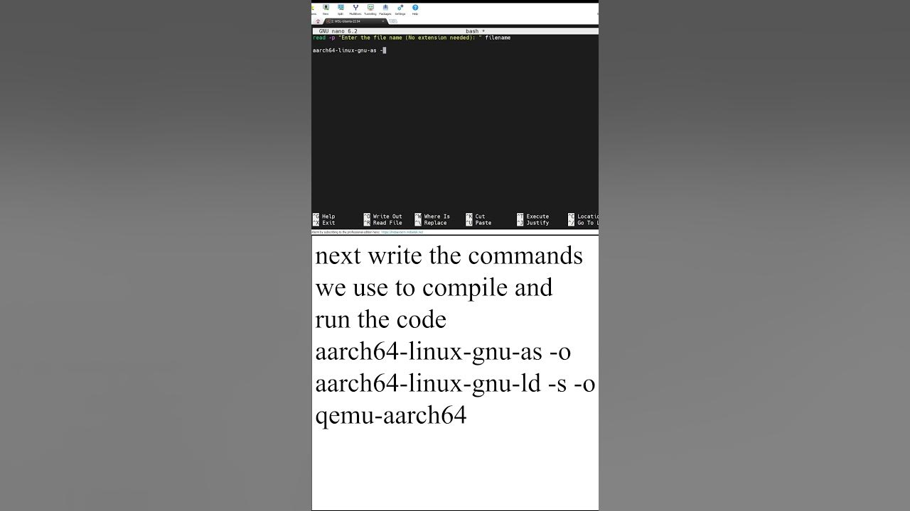 Bash Scripting 101: Make Your Computer Work for You! 💡 - YouTube