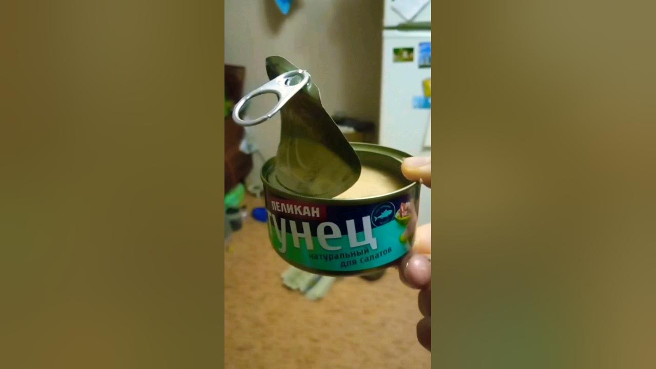 Тунец Пеликан дегустация - YouTube