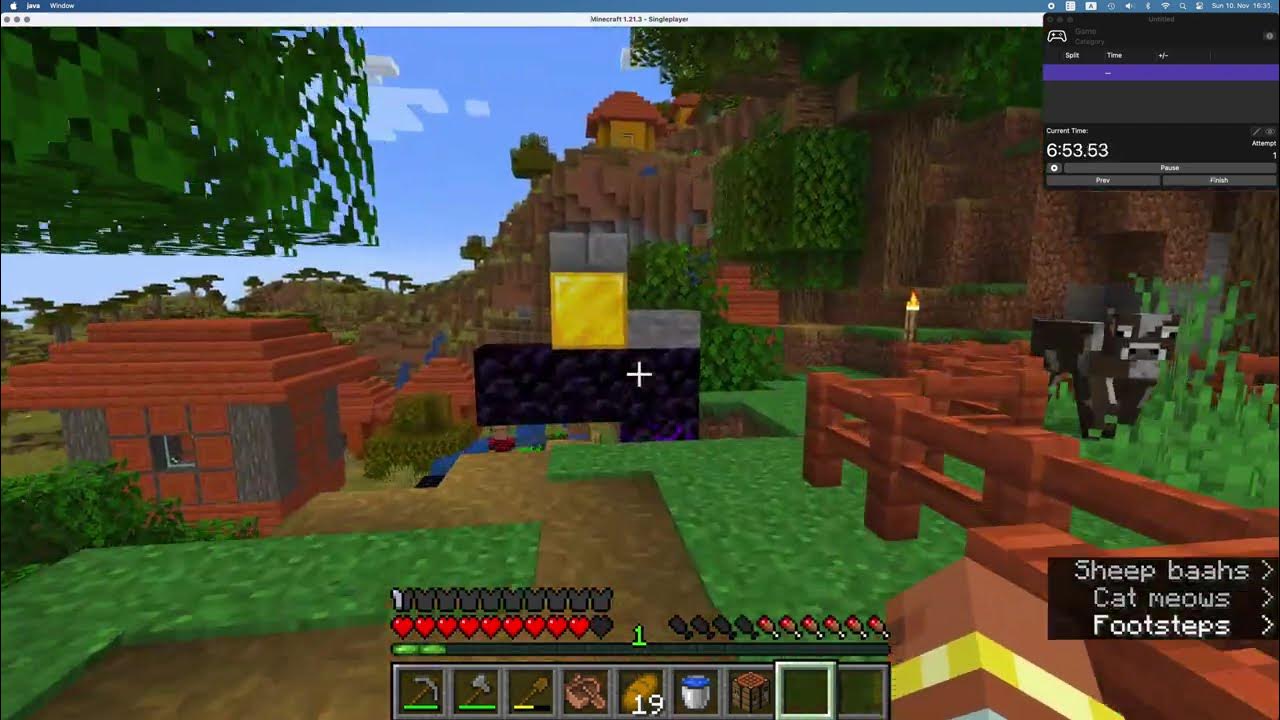 Minecraft Speedrun Enter Nether 1.21.3 - YouTube