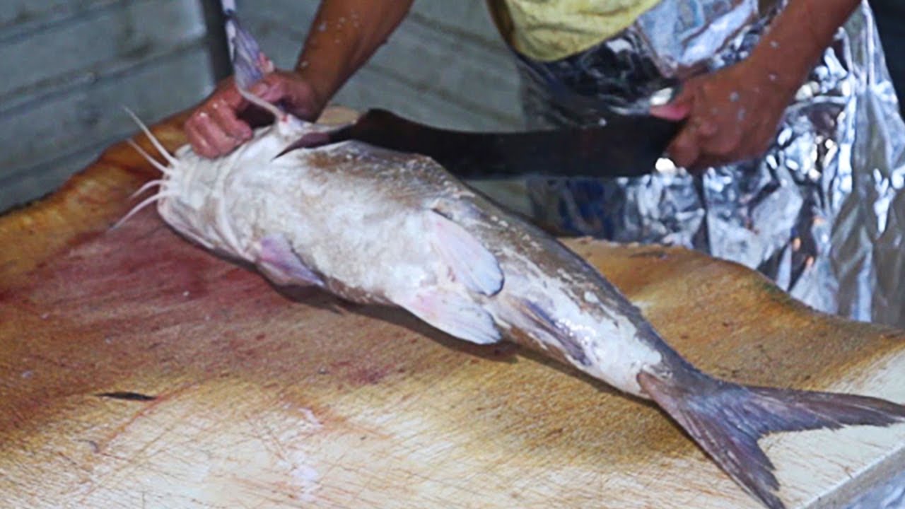 BIG SEA CATFISH Cutting Live In Fish Market | FISH CUTTERMAN - YouTube