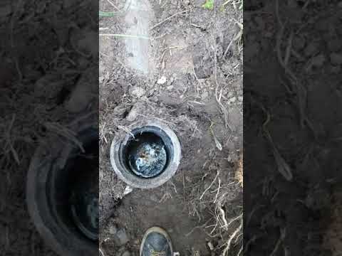 Root ball in sewer line. - YouTube