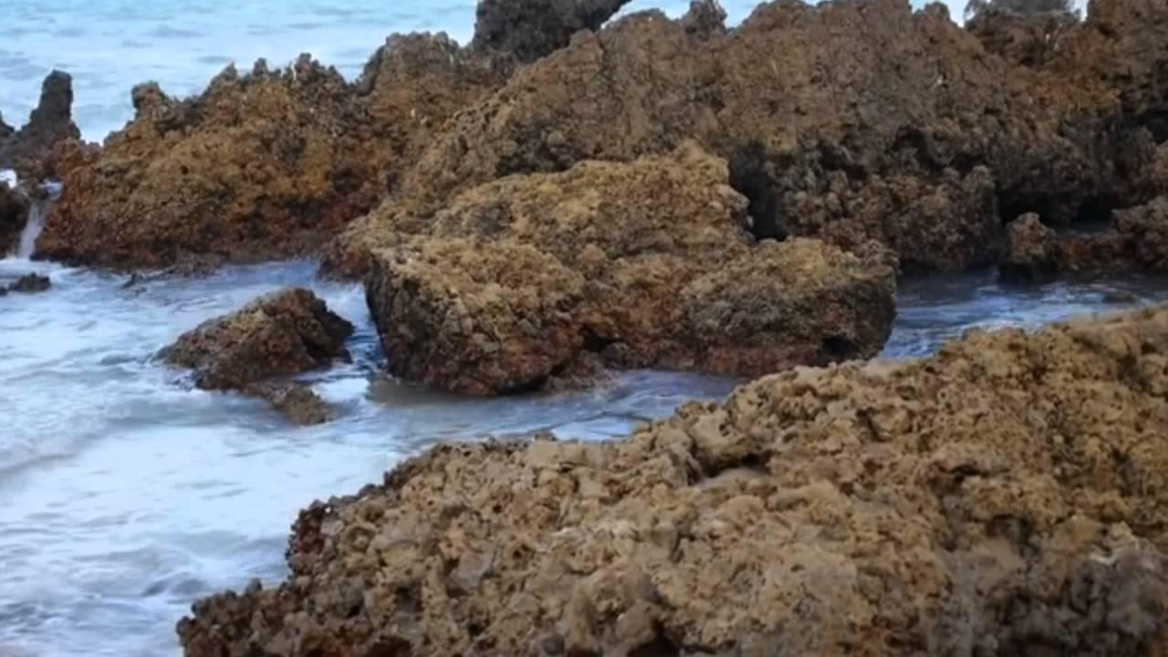 A belíssima Praia de Tambaba por FERNANDO GABEIRA - Tambaba Beach - YouTube