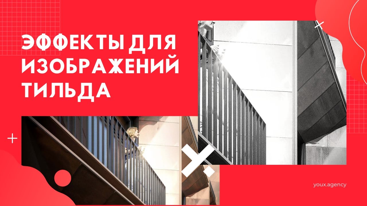 Как добавить эффект увеличения при наведении на фото в Тильда Youtube