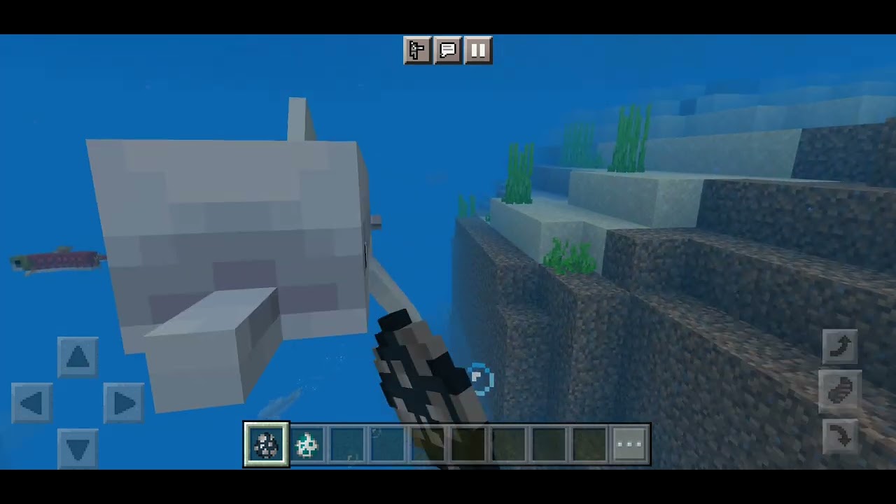 Spawning sea animals - YouTube