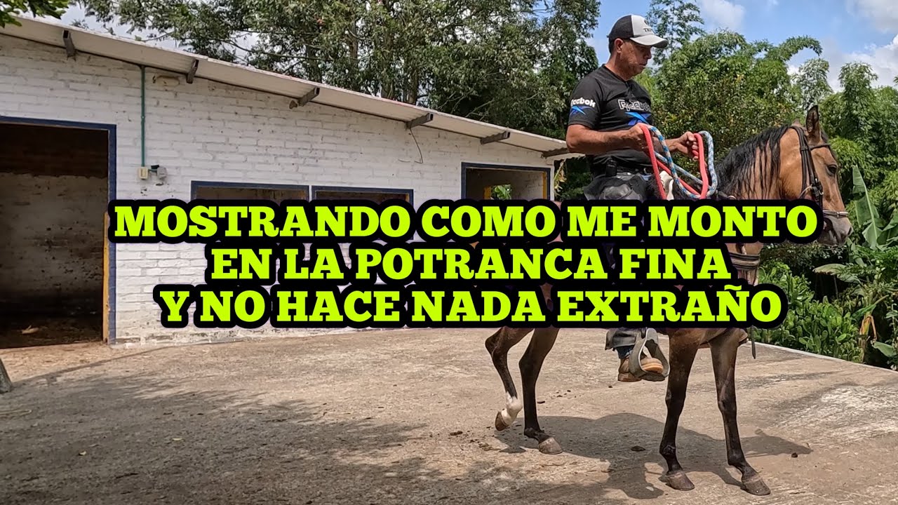 MOSTRANDO COMO ME MONTO EN LA POTRANCA FINA Y NO HACE NADA EXTRAÑO ...