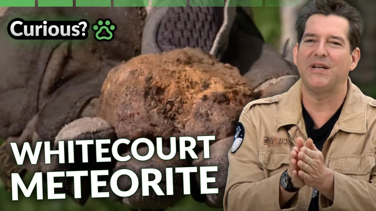 Journey to Whitecourt Crater | Meteorite Men | Curious?: Natural World ...