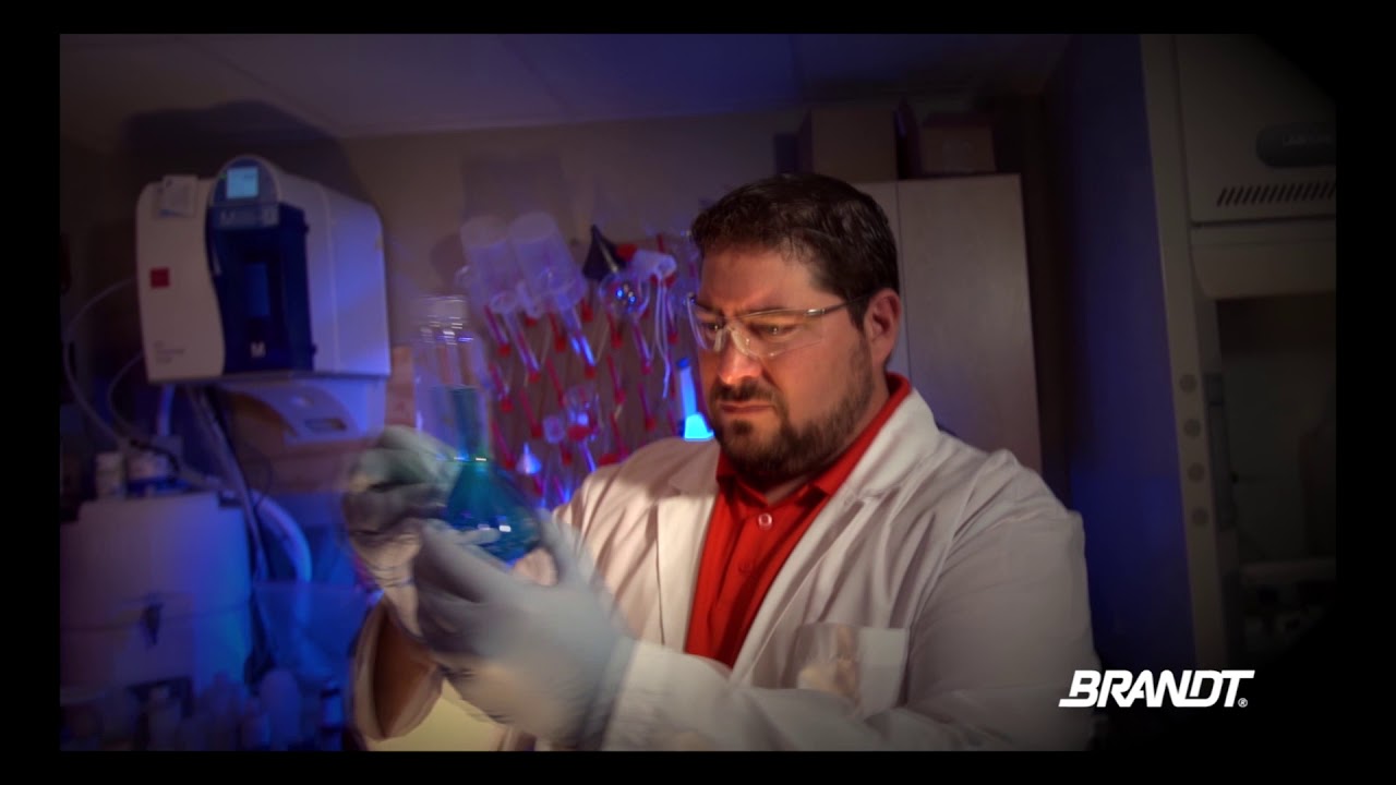 BRANDT Corn Warriors TV Commercial - YouTube