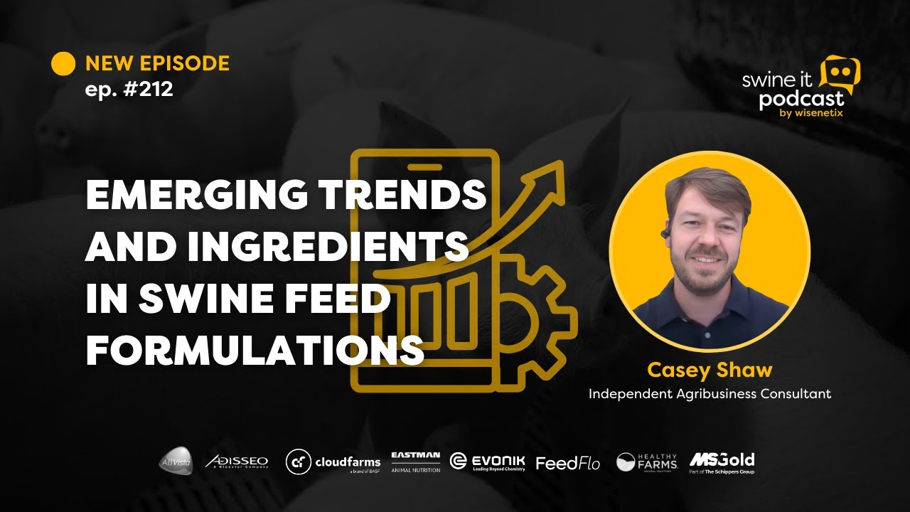 Casey Shaw: Swine Feed Trends | Ep. 213 - YouTube