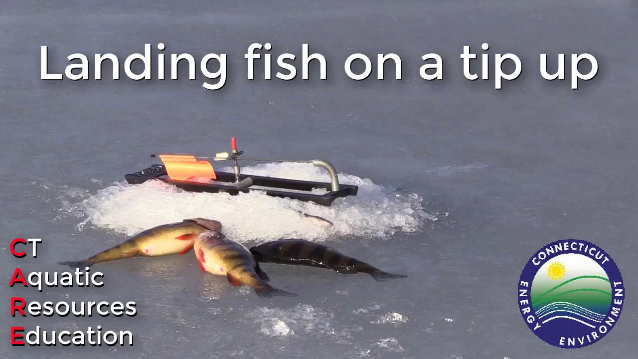 Landing Fish on a Tip-up - YouTube