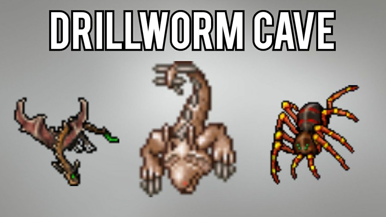 Tibia| Facc.10. | Drillworm | kazordoon | bestiary | bona | Paladin ...