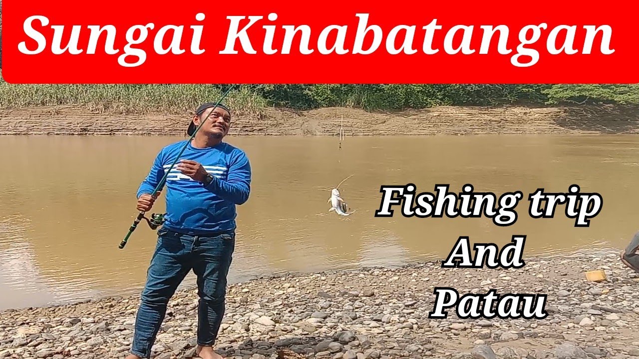 MEMATAU DAN MANCING DI SUNGAI KINABATANGAN DARI KAMPUNG SANGAU KE ...