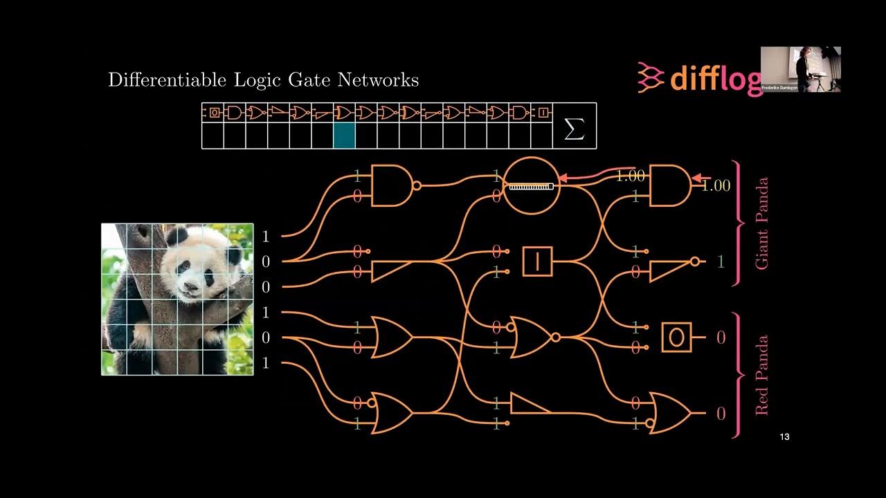 Felix Petersen, CoRL 2024 Workshop on Differentiable Optimization Everywhere - YouTube