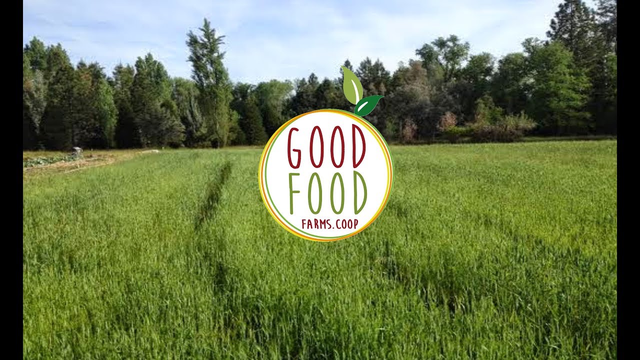 Good Food Farms - YouTube