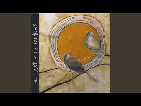 Brett Kull – The Last Of The Curlews (2008, CD) - Discogs