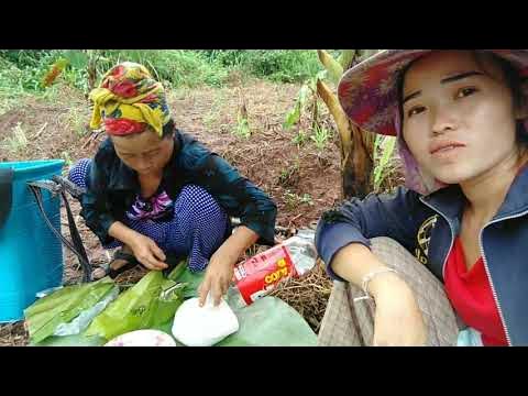 Lub Ntuj Los Nag Xuj Xuav Ua Teb Noj Mov Qhuav 2021 ( @TSWVCAIXYOOJ ) - YouTube