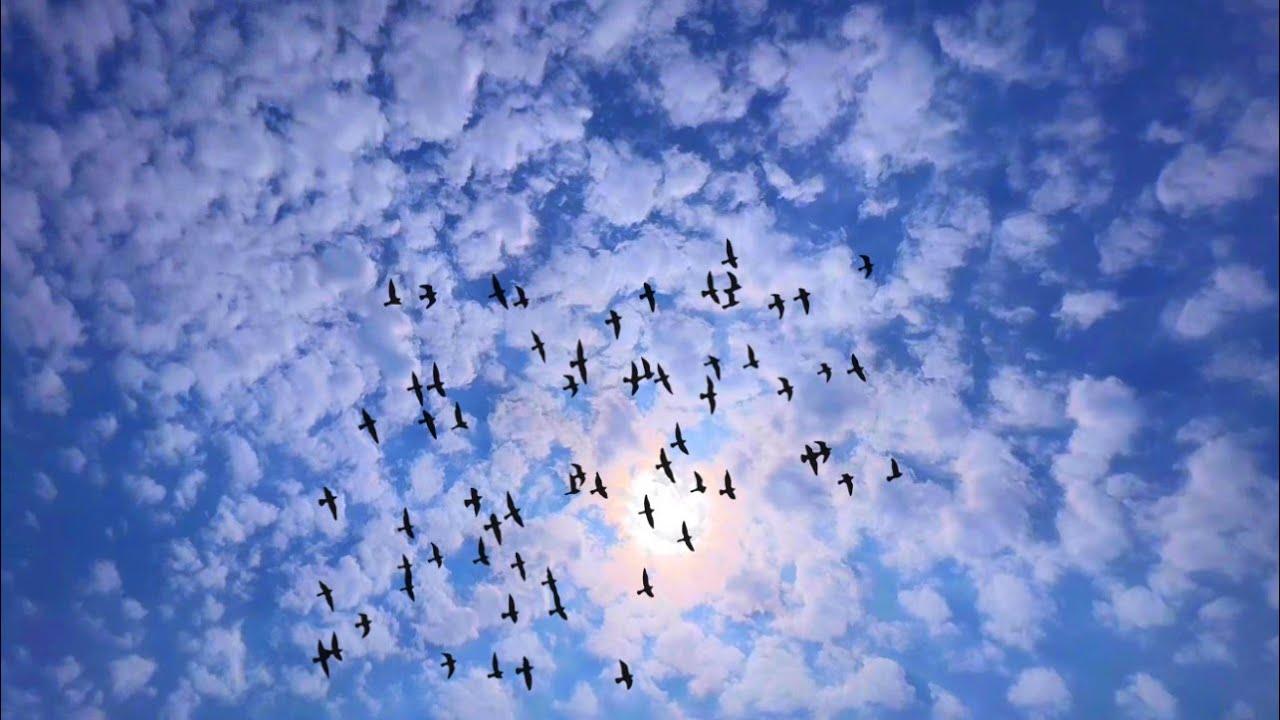 Sky clouds status video - YouTube