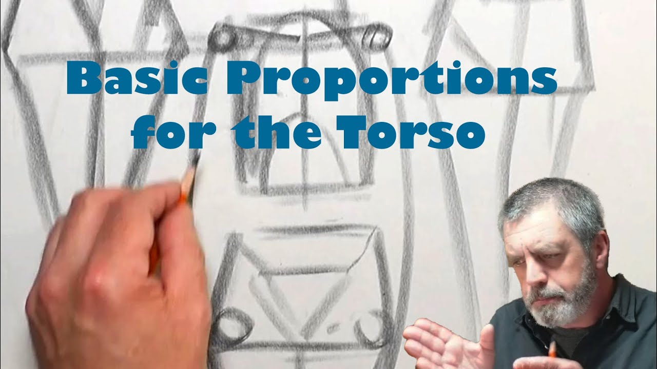 Basic proportions for the Torso in Figure Drawing - YouTube