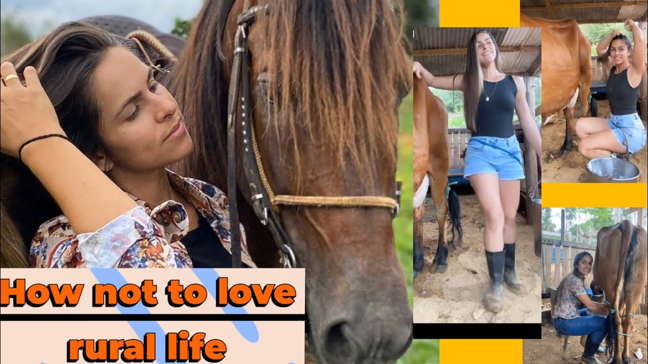 How not to love rural life ||Special Vlog || Real Village Life - YouTube