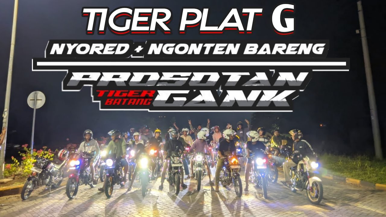 TIGER PLAT G VOL 2 BATANG NYORED KONTEN BARENG - YouTube