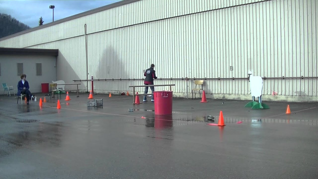 SDDA Trial - Advanced Exterior - Savvy - YouTube