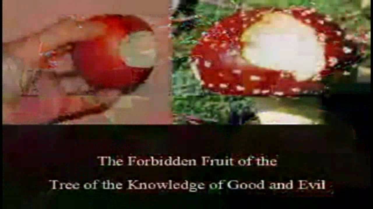 1 8 Occult Esoteric Artwork Adam & Eve Forbidden fruit & the Holy Grail ...
