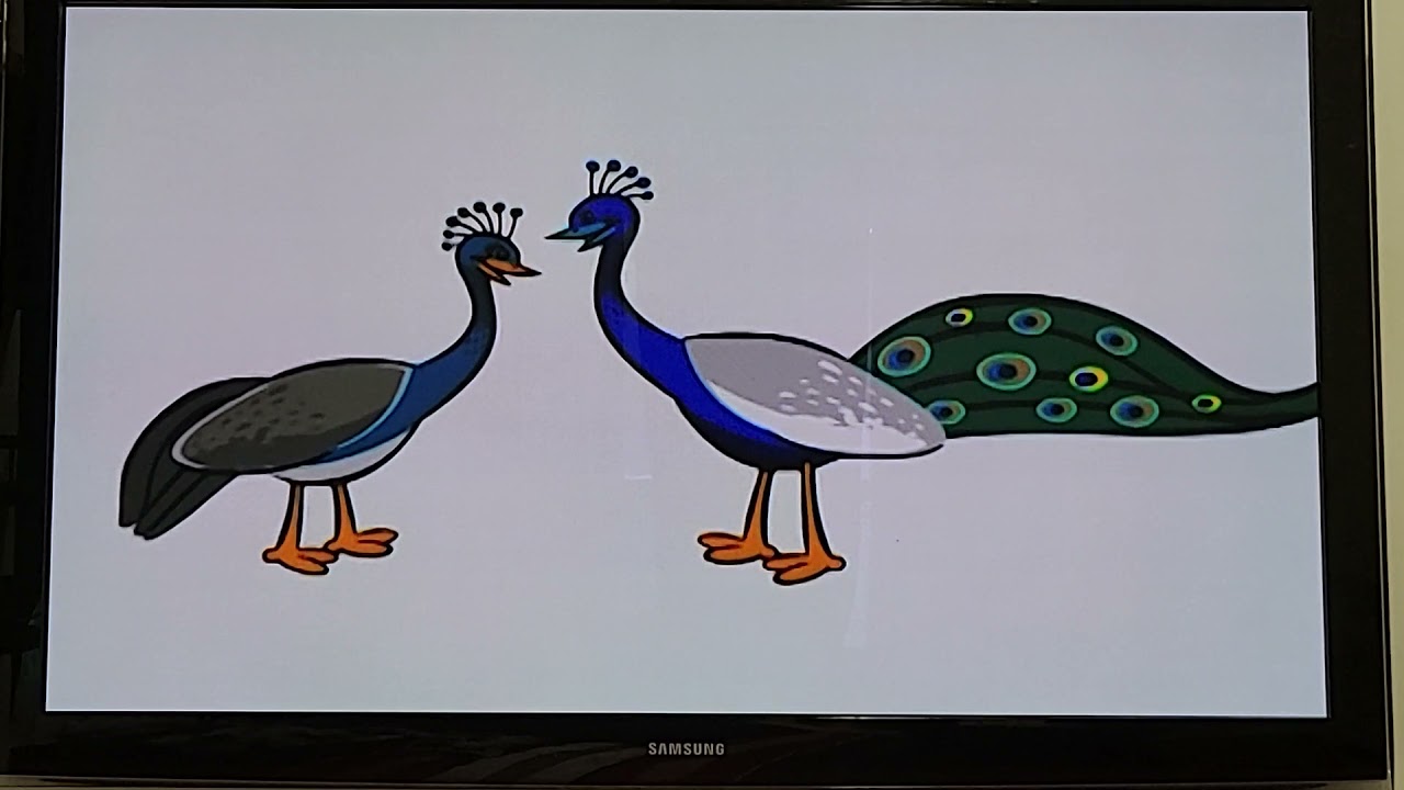 Babyfirst safari scrapbook peacock - YouTube