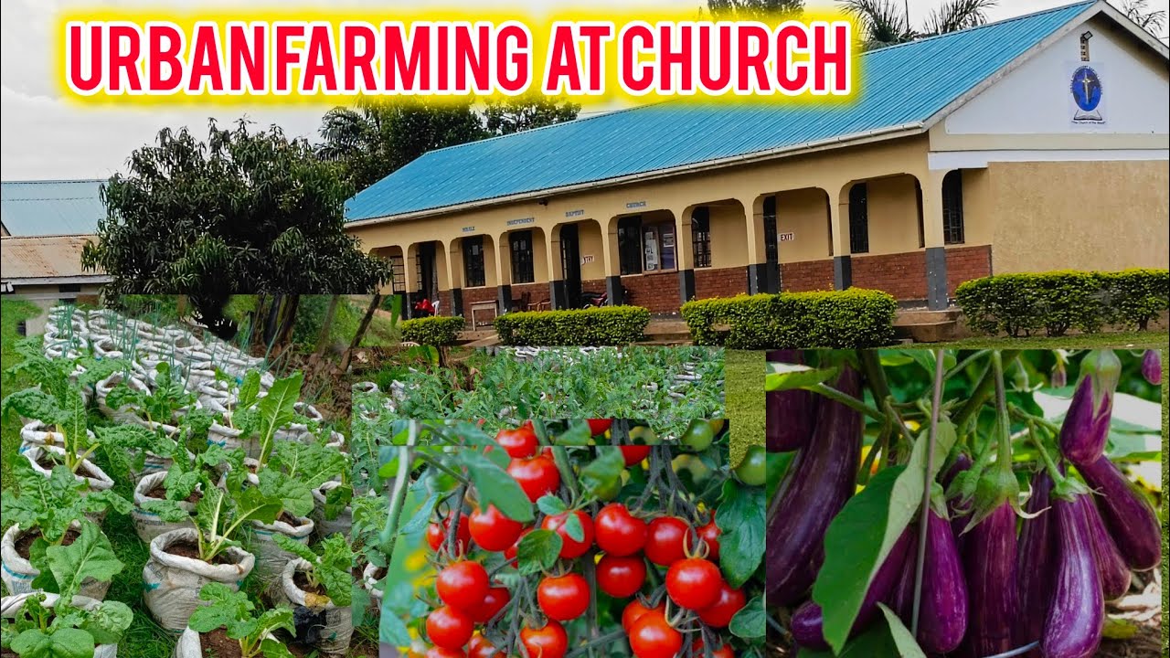 This Beautiful Church Turned Their Backyard Into A Beautiful Kitchen ...
