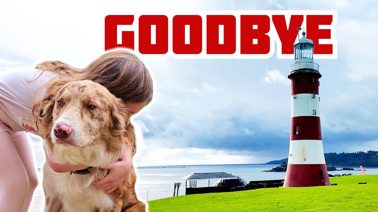 Saying Goodbye To Our Puppy, RIP - YouTube