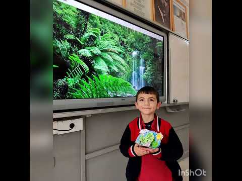 Şehit Mehmet Paksoy 1 B sınıfı etkinlikleri