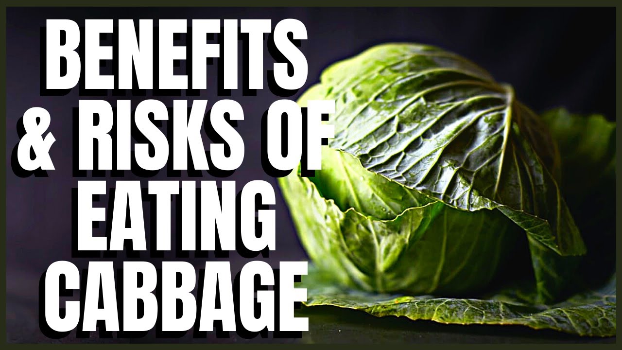 Benefits and Risks of eating Cabbage - YouTube