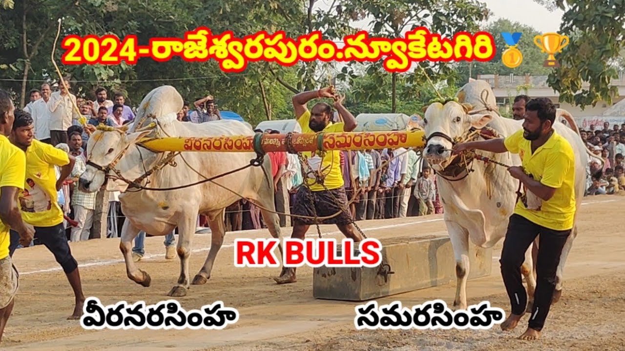 2024-రాజేశ్వరపురం.న్వూకేటగిరి.🥇🏆RK BULLS అత్తోట శిరీష చౌదరి శివకృష్ణ ...
