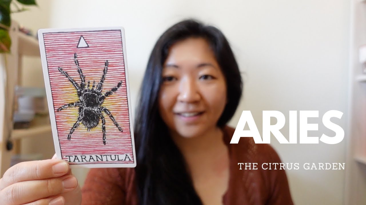 ARIES | No Pressure, Aries, But Sharing This Gift is Part of Your Spiritual Destiny. Be ...